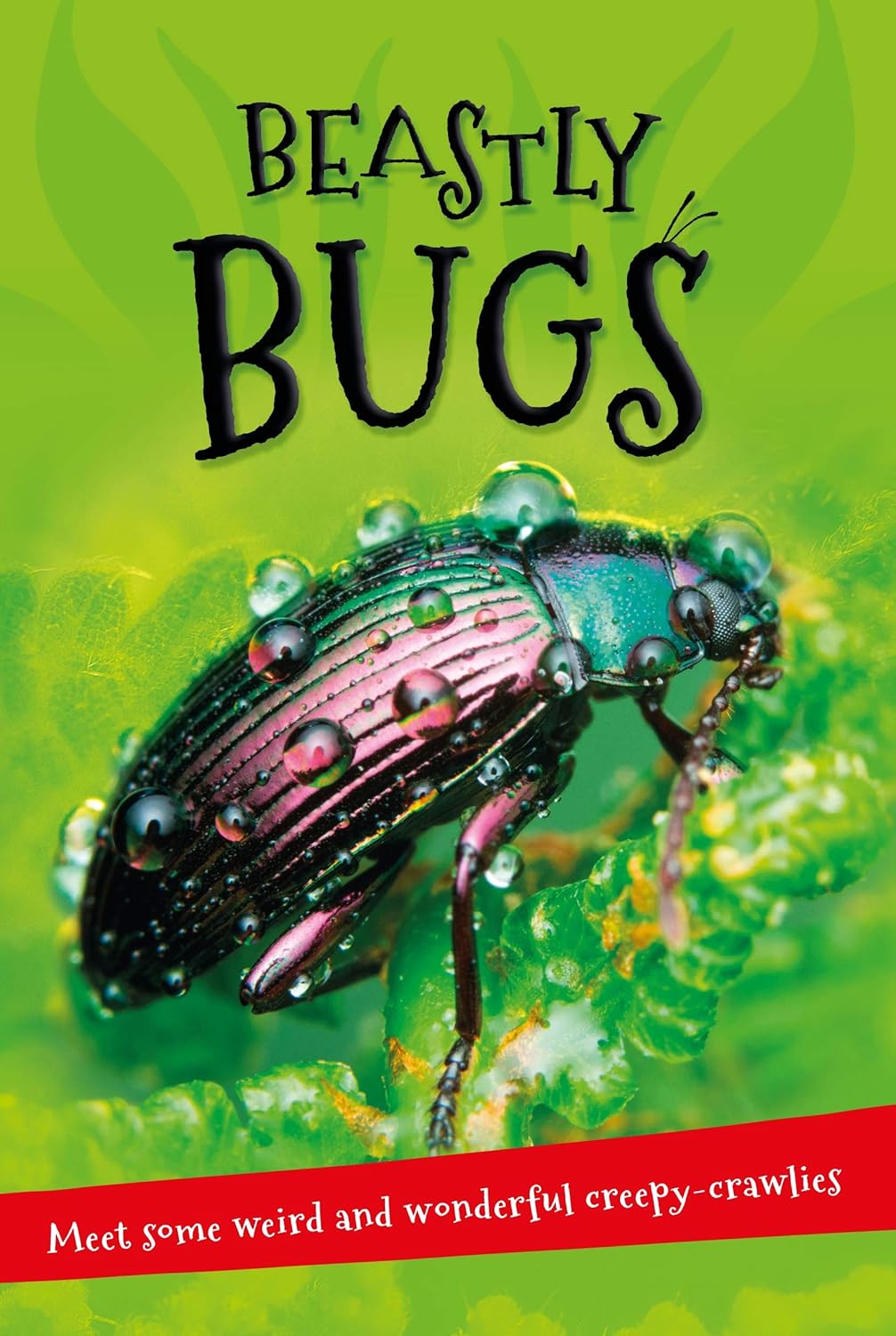 Amazon.com: It's All About . . . Beastly Bugs: Everything you want to ...