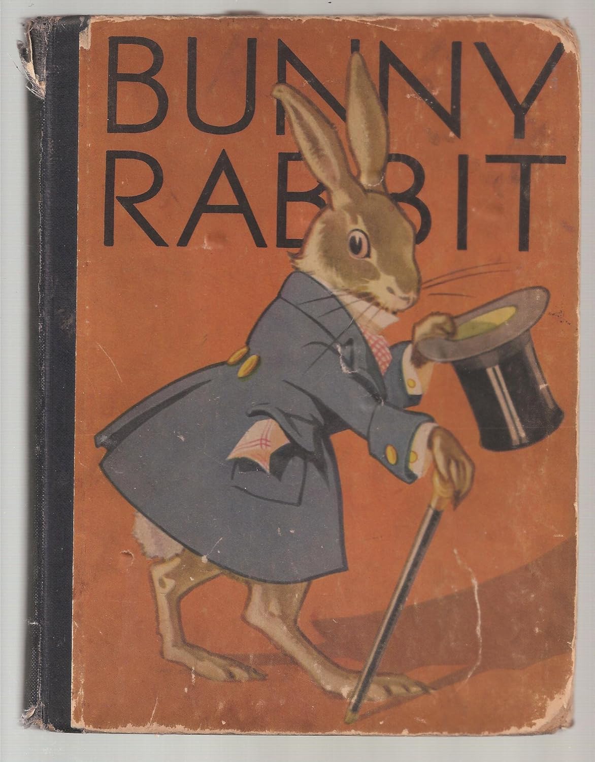 The Bunny Rabbit and Other Stories: Althea L. Clinton, Bill Bailey ...