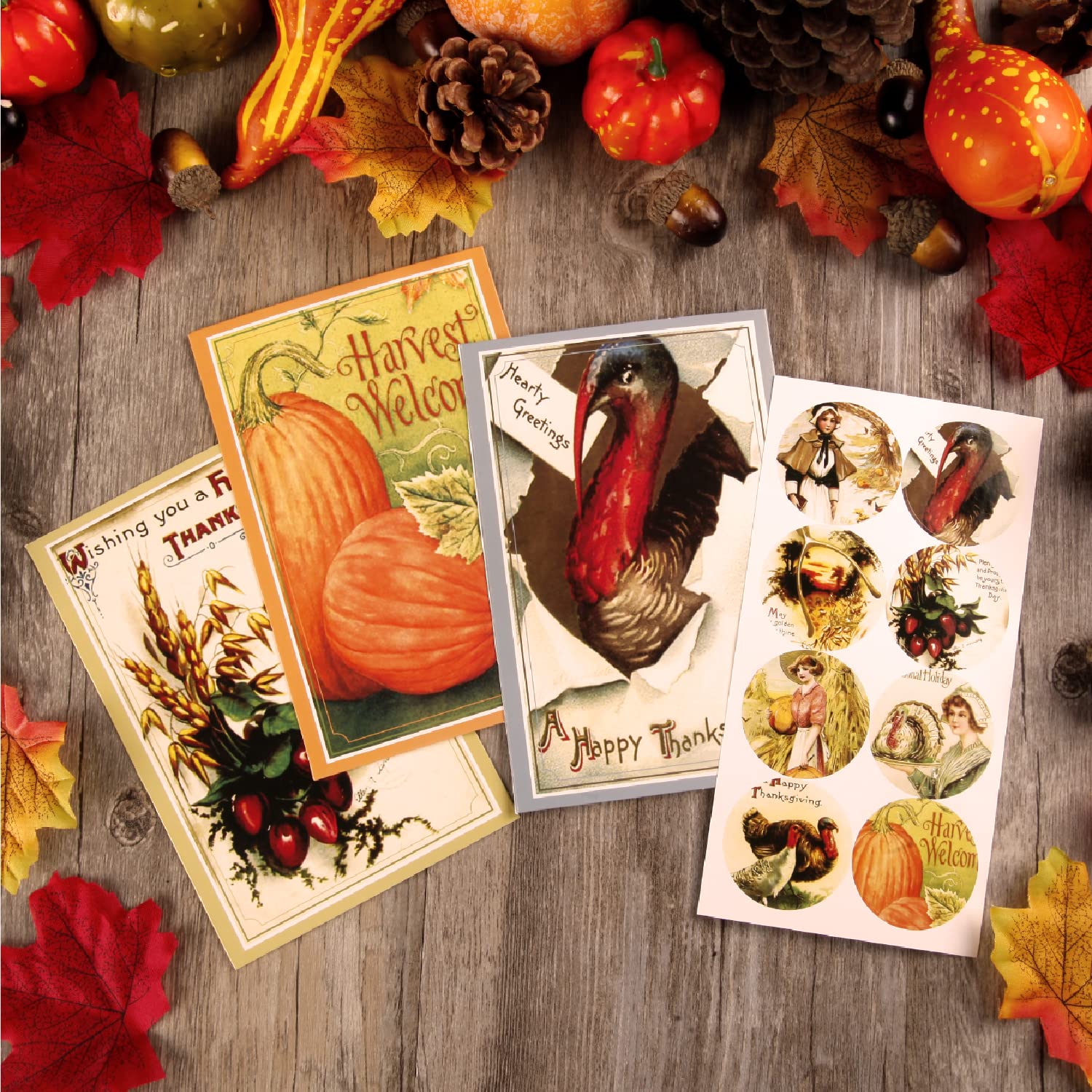 Thanksgiving Cards Boxed