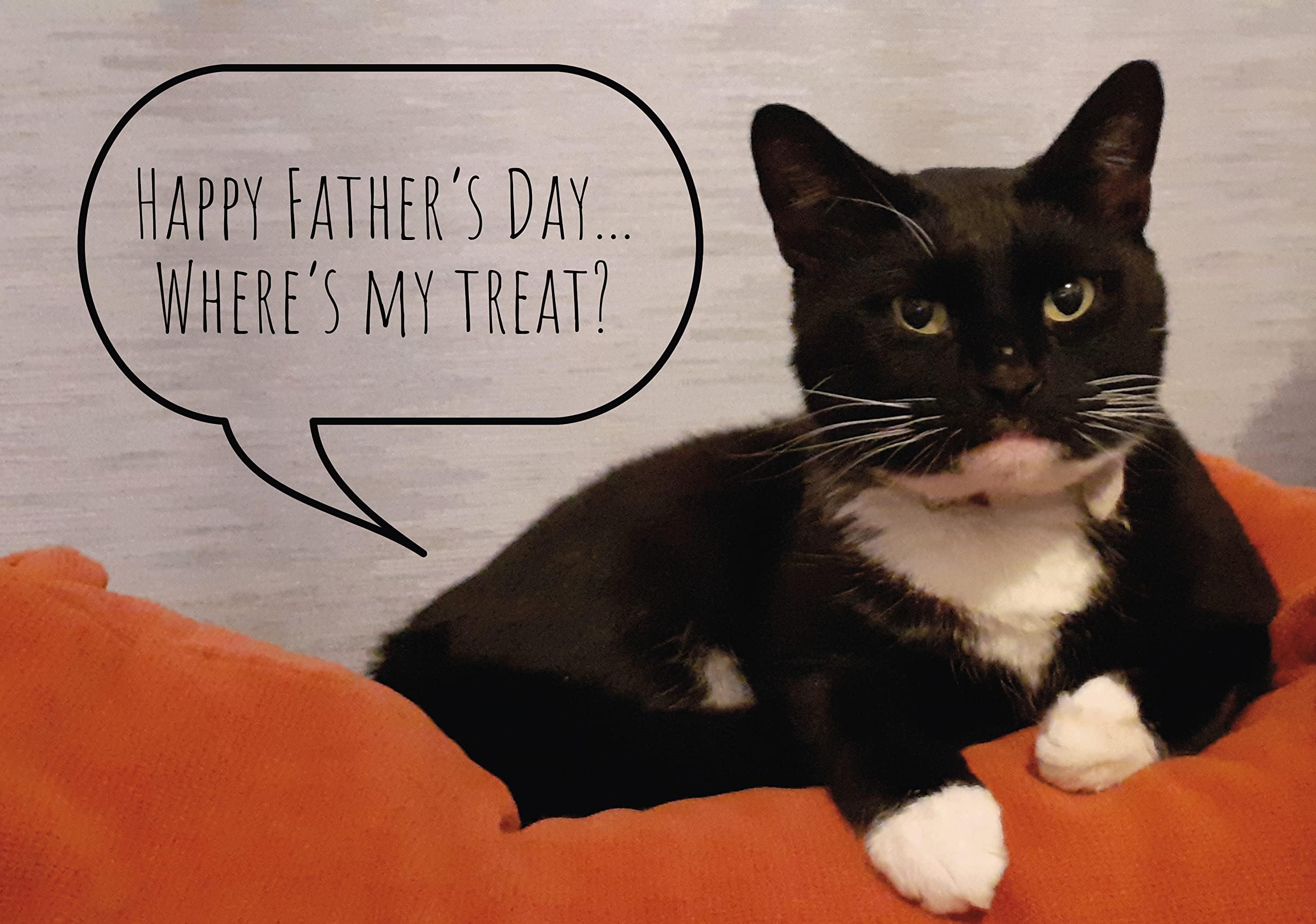 Happy Father's Day From The Cat Greeting Card 125mm x 178mm Including ...