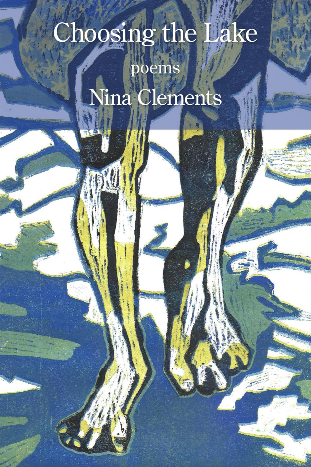 Amazon.com: Choosing the Lake: 9781639805266: Clements, Nina: Books