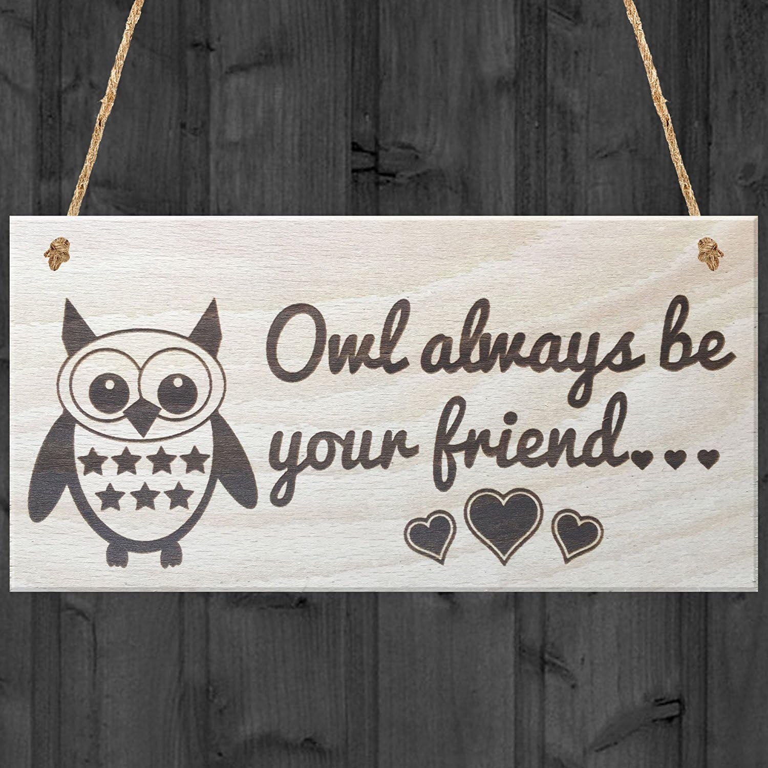 Amazon.com: Owl Always Be Your Friend Novelty Best Friends Love ...