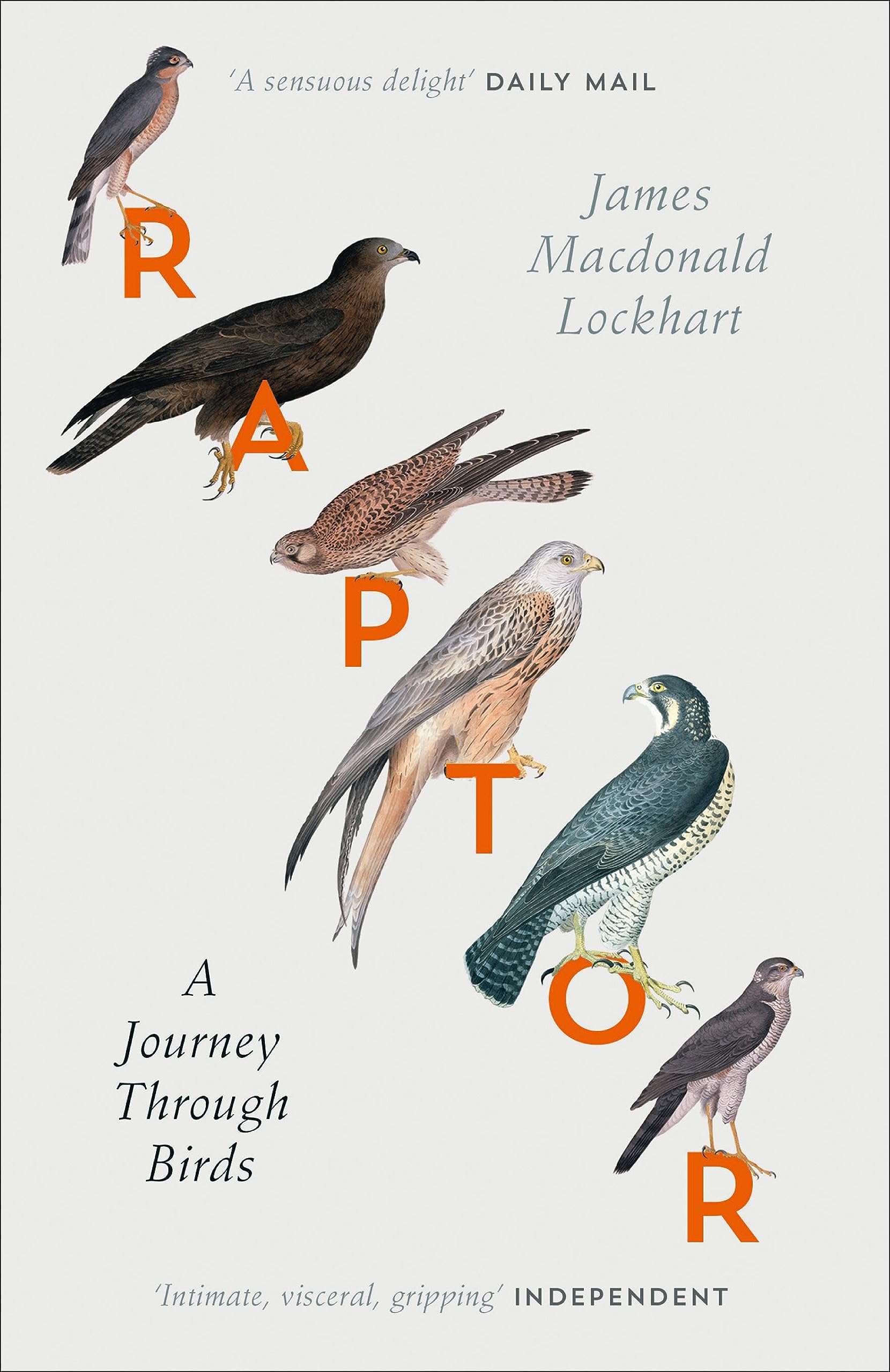 Raptor: A Journey Through Birds : Lockhart, James Macdonald: Amazon.co ...