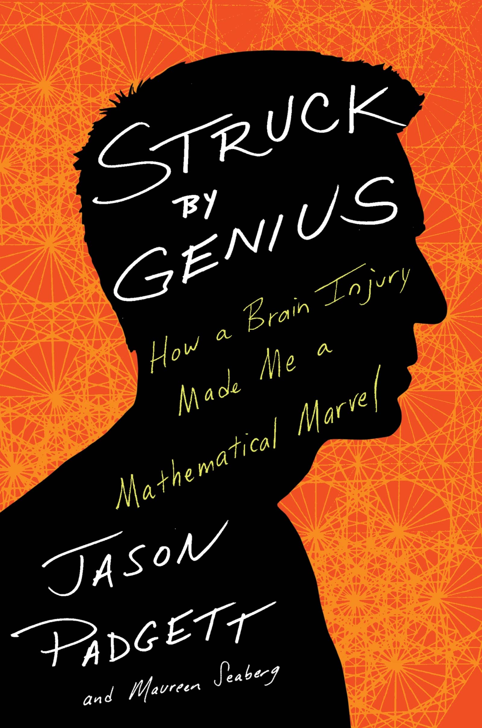 Struck By Genius: How a Brain Injury Made Me a Mathematical Marvel ...