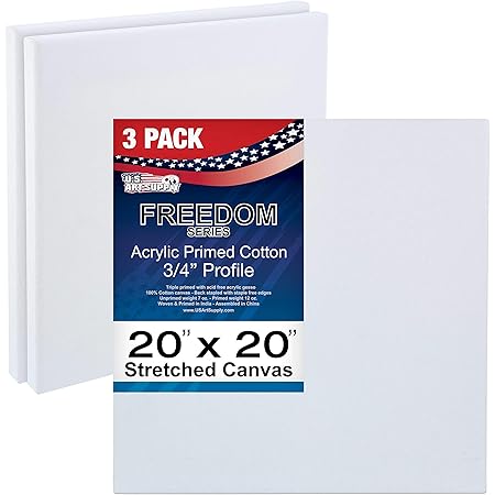 Amazon.com: U.S. Art Supply 20 x 20 inch Stretched Canvas 12-Ounce ...