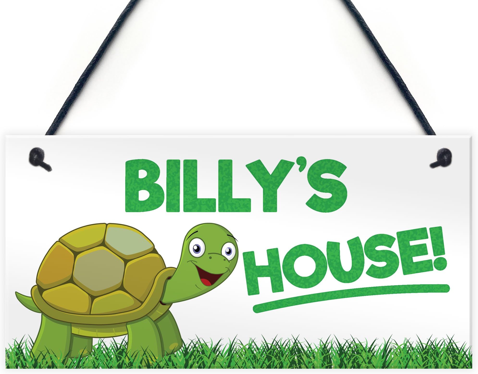 RED OCEAN Personalised Pet Turtle Tortoise House Hanging Sign Home ...