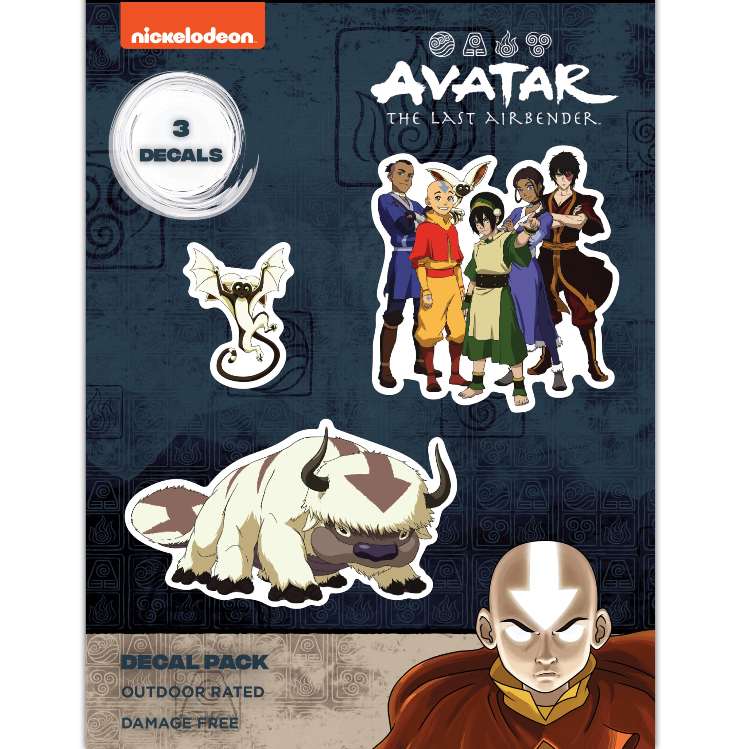 Amazon.com - Avatar The Last Airbender Decals - Set of 3 Appa, Momo ...