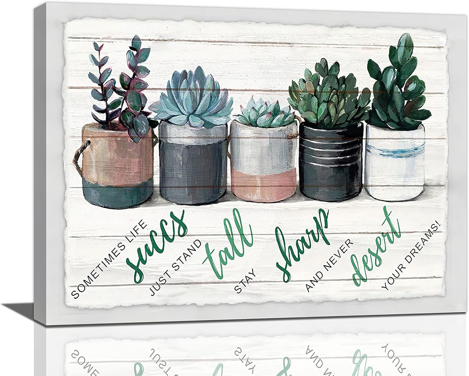 Amazon.com: wsradto Farmhouse Succulents Bathroom Wall Art Country ...