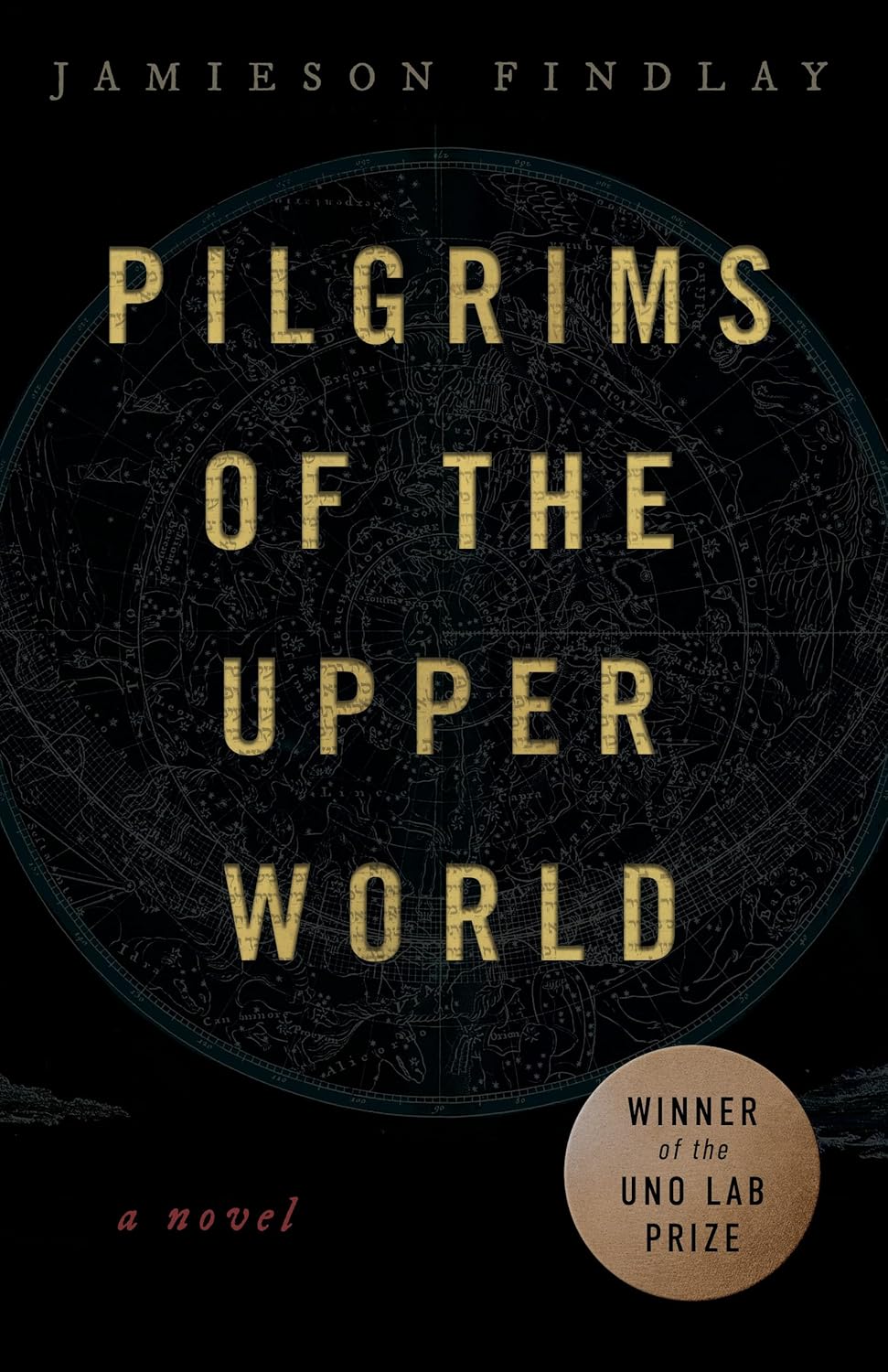Pilgrims of the Upper World - Kindle edition by Findlay, Jamieson ...