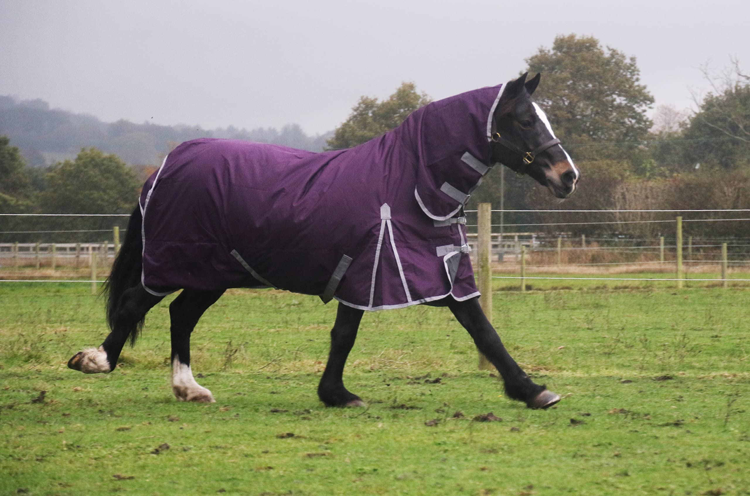 Waterproof Horse Turnout Rug 100g Fill 600d Lightweight Turnout Horse ...