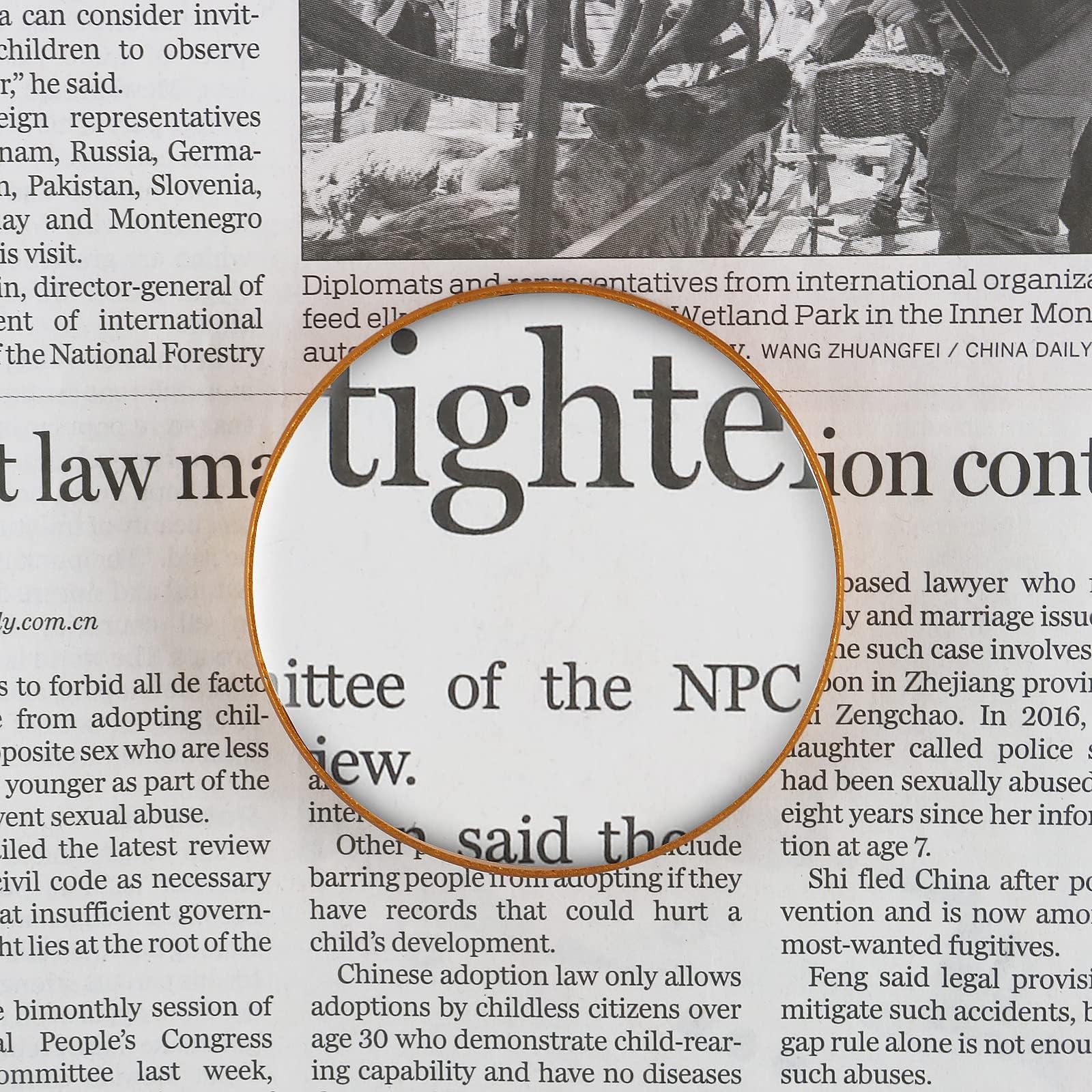 Amazon.com: 5X Domed Magnifying Glass 80mm Crystal Glass Desktop ...