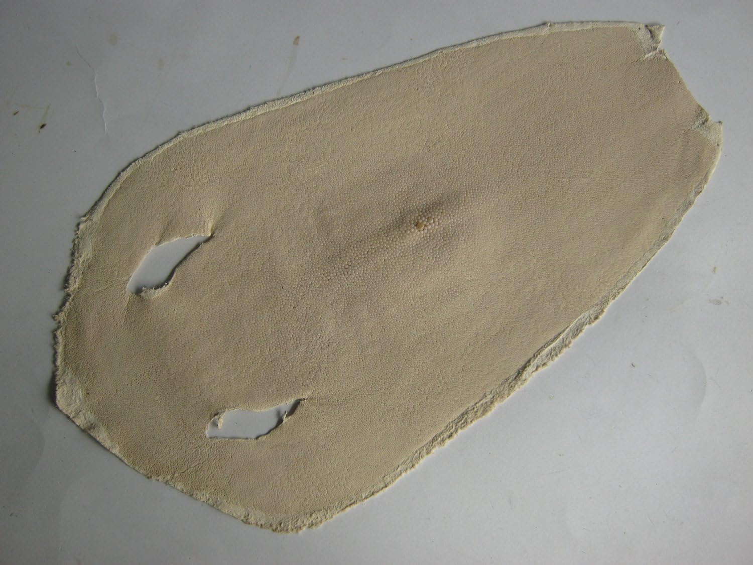 Amazon.com: handmade genuine stingray skin leather Hide Pelt size 17.7 ...