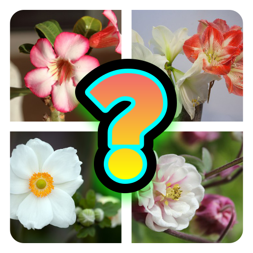 guess the flower in tiles - App on Amazon Appstore