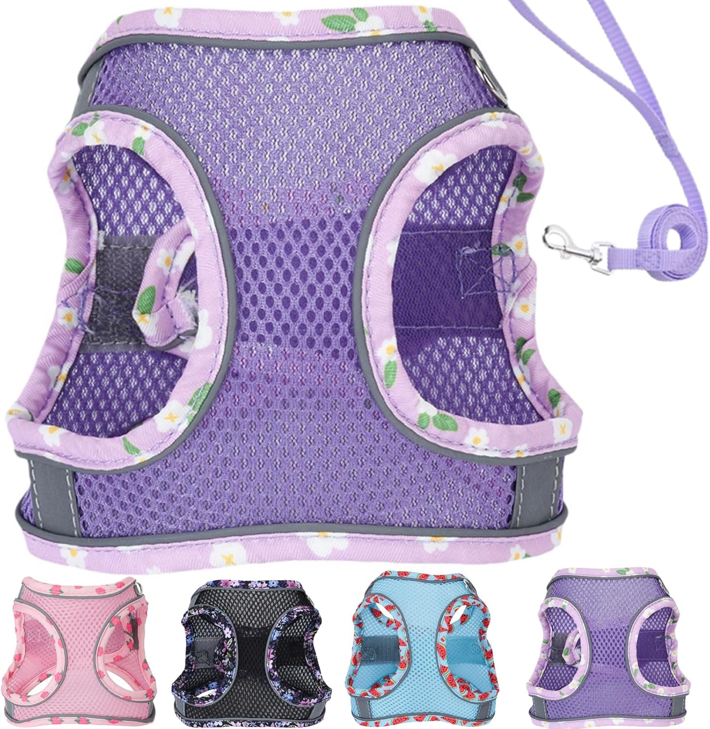 Amazon.com : Petank Dog Harness for Small Medium Dogs No Pull, Puppy Harness and Leash Set, Mesh ...