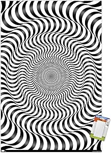 Amazon.com: Trends International Zebra Stripe Optical Illusion Wall ...