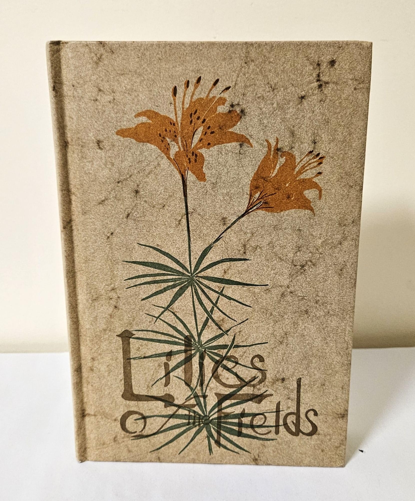 Field Of Lilies Lily Of The Field Hi Res Stock Photography And Images