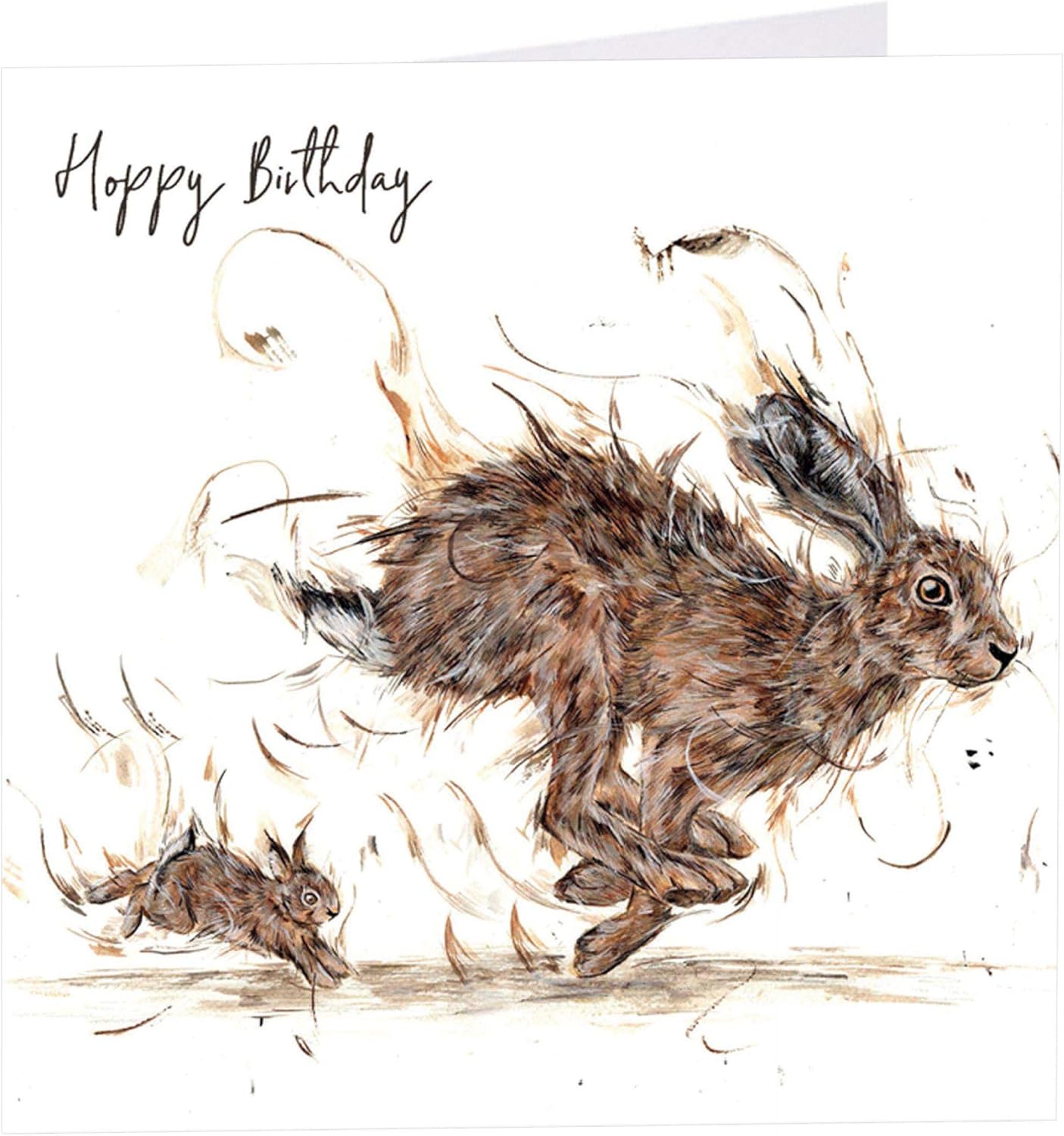 Art Beat Happy Birthday - Hare Birthday Card : Amazon.co.uk: Stationery ...
