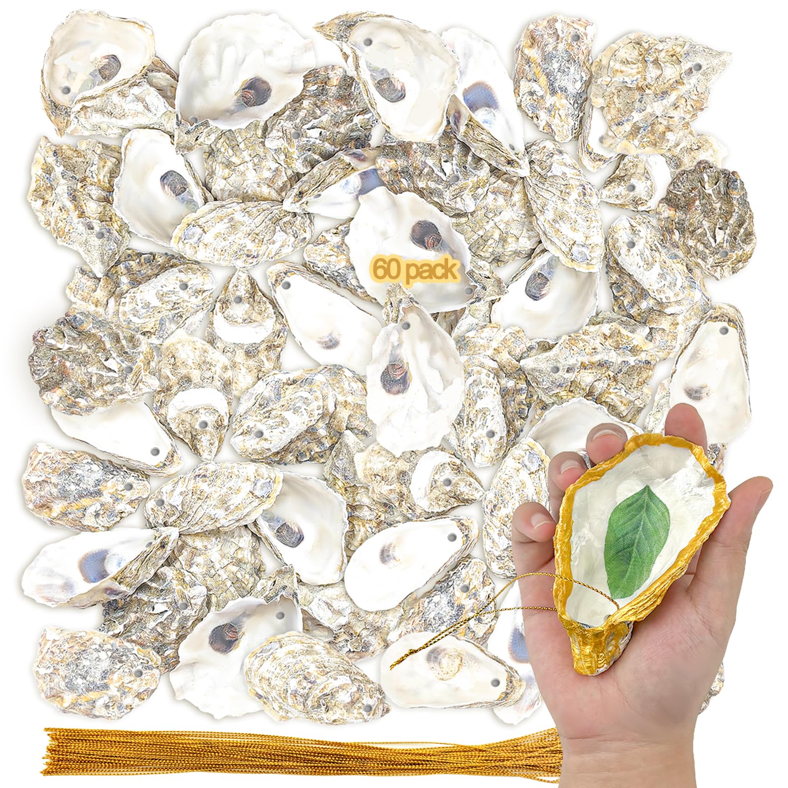 Amazon.com: stonechic 60 Pcs Pre-Drilled Oyster Shells Bulk Oyster ...