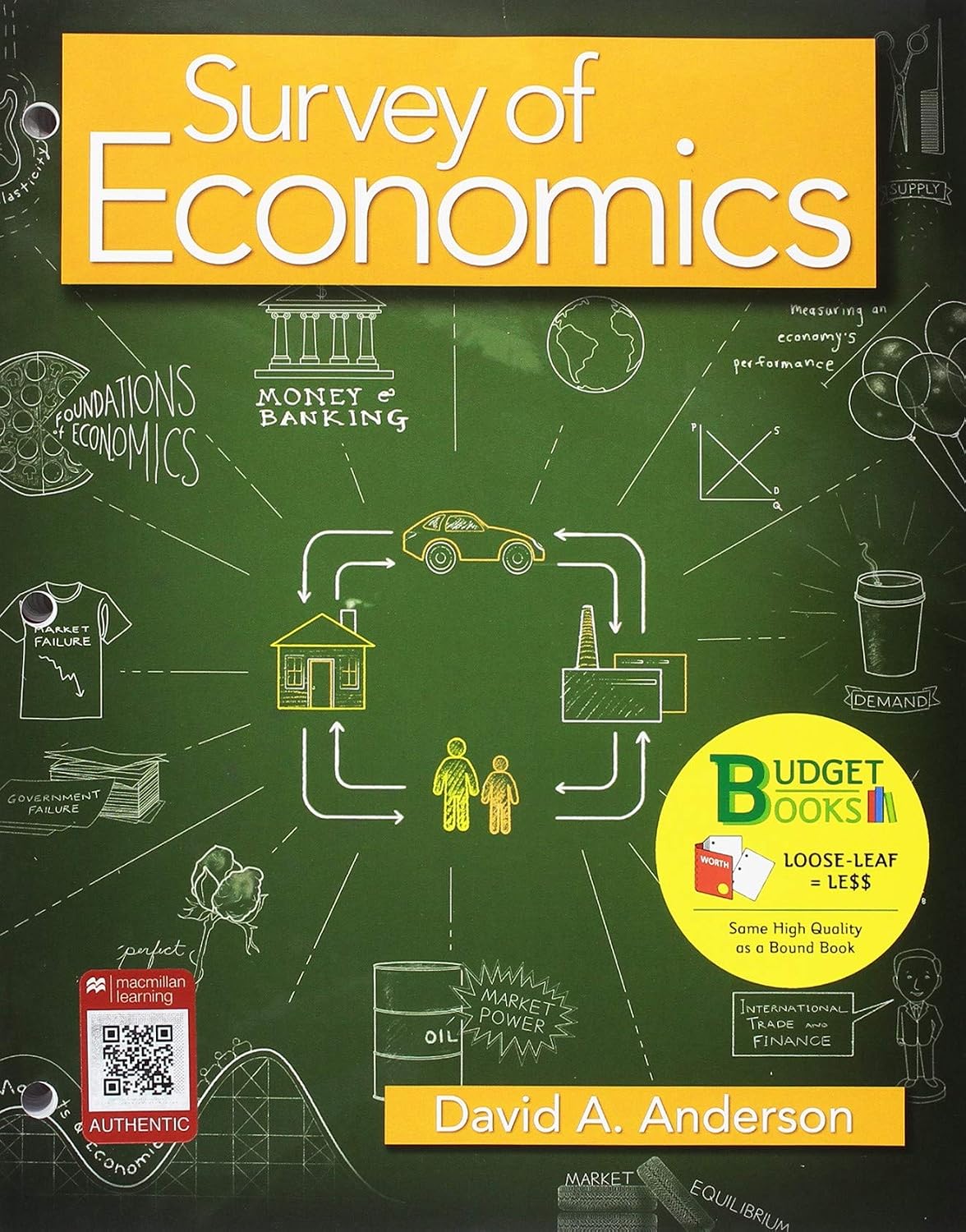Loose-leaf Version for Survey of Economics: 9781464144585: Economics ...