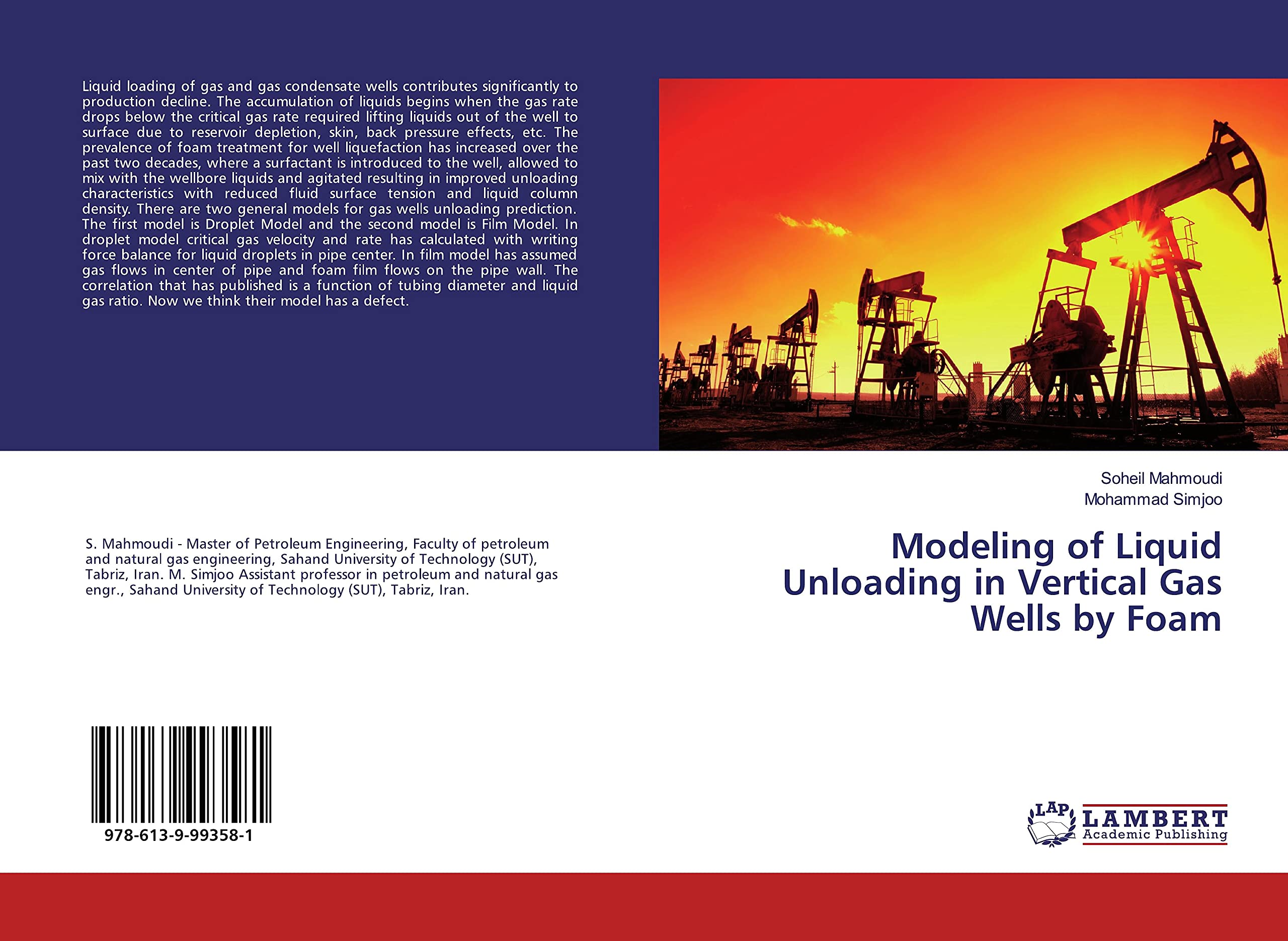 Modeling of Liquid Unloading in Vertical Gas Wells by Foam : Mohammad ...