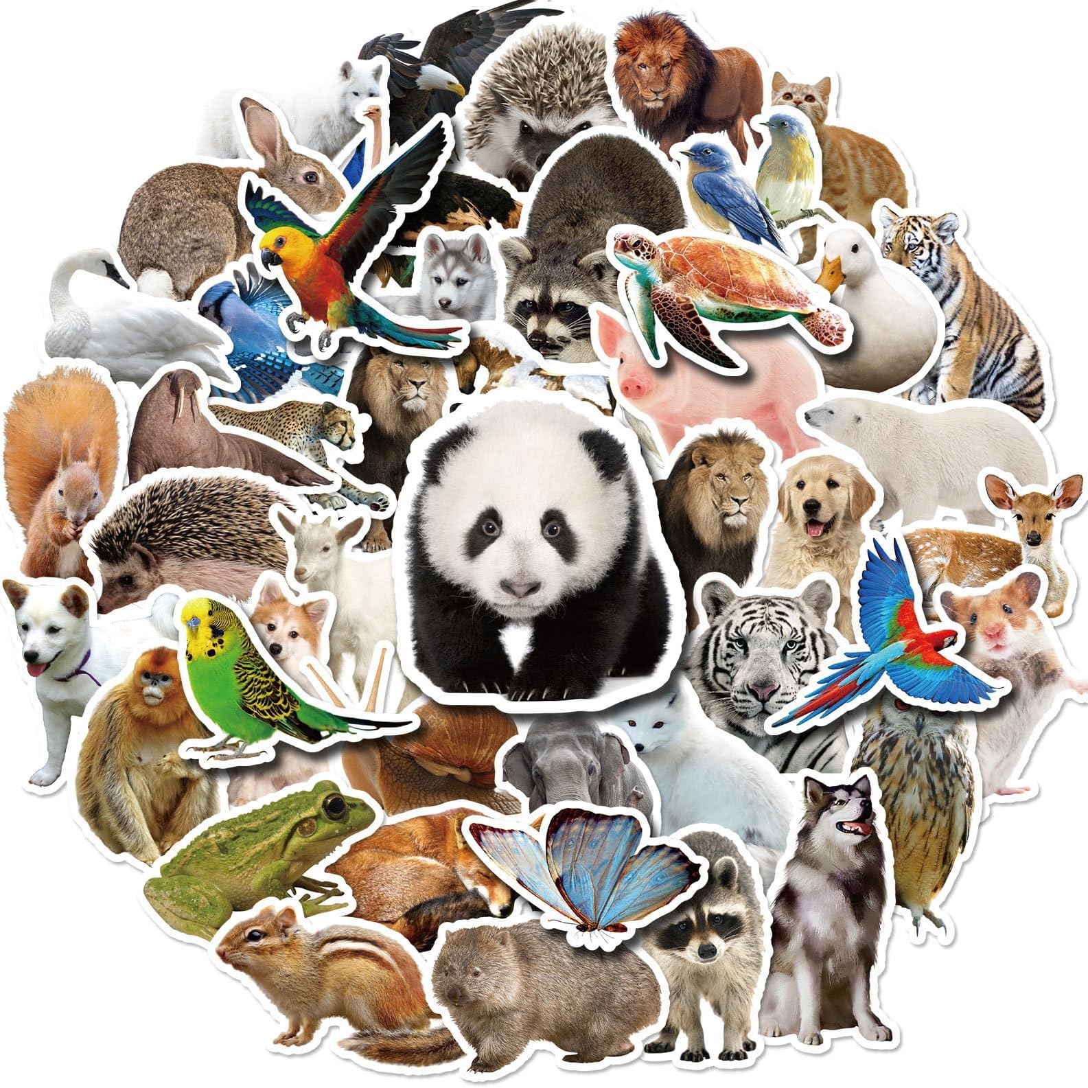 Amazon.com: Sinoyp Sticker Set of 50 Large Decals Cute Realistic Animal ...