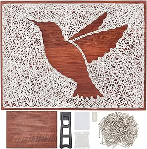 Amazon.com: WEBEEDY DIY Hummingbird String Art Kit for Beginner ...