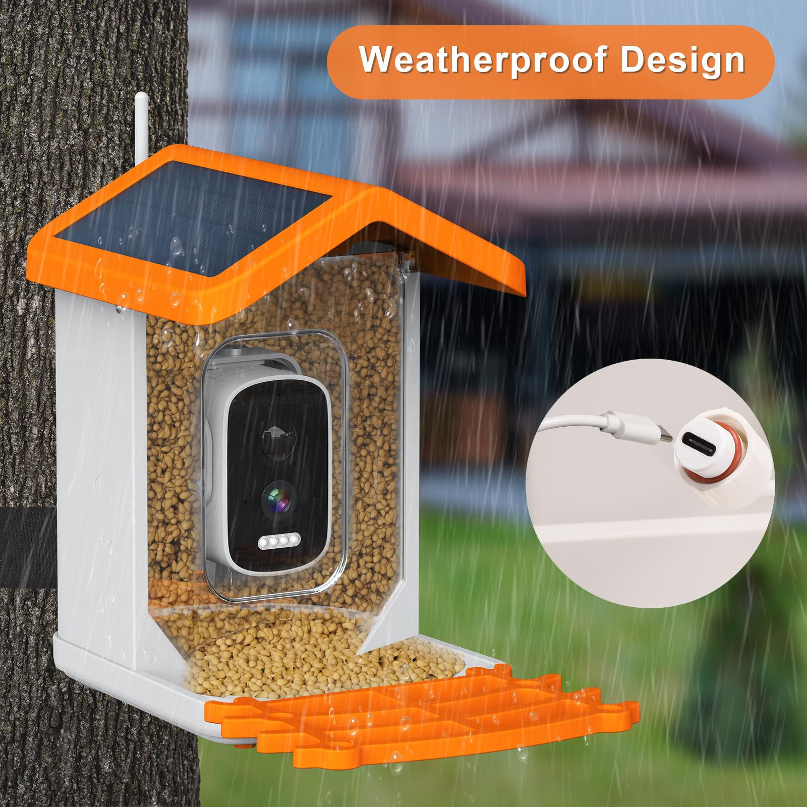 Motion Activated Bird Camera