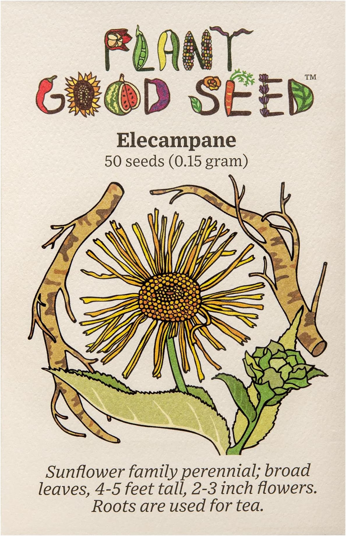Amazon.com : Elecampane Seeds (Inula helenium) Packet of 40 Seeds ...