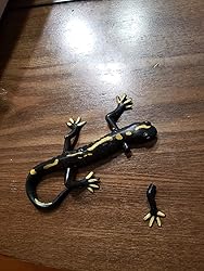 Amazon.com: Lizards Toys,8 Piece Mini Rubber Lizard Set,Super Stretches ...