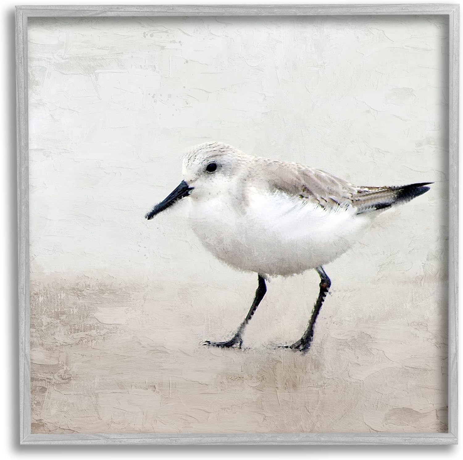 Amazon.com: Stupell Industries Lone Sandpiper Bird Portrait Framed Wall ...