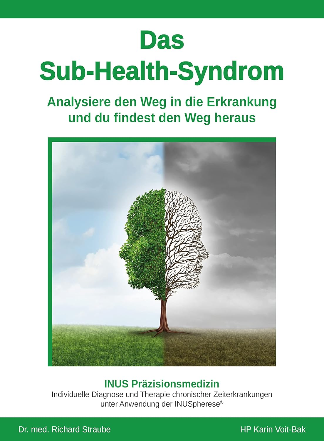 Das Sub-Health-Syndrom - Analysiere den Weg in die Erkrankung und du ...