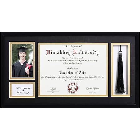 Amazon.com - The Display Guys 10x20 Document/Certificate Shadow Box ...