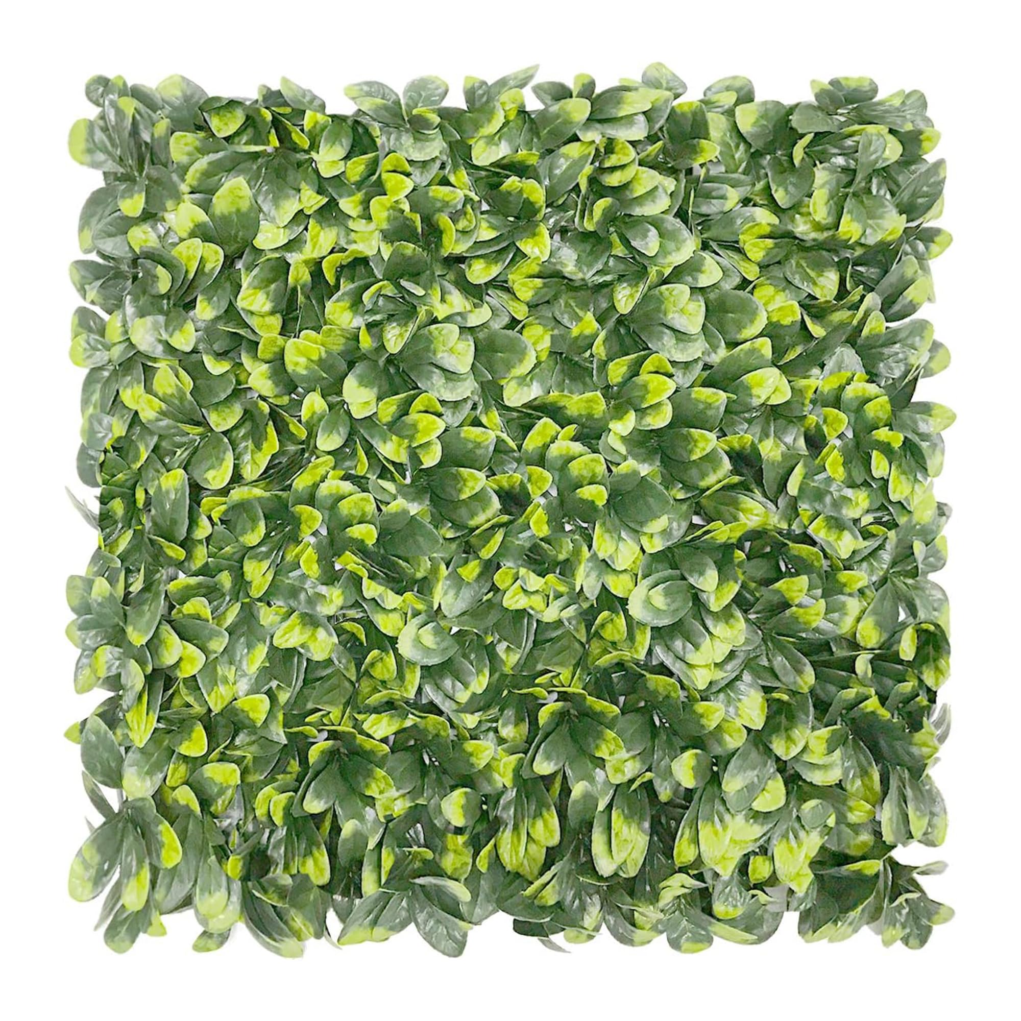 Snapklik.com : 6 Packs 20" X 20" Artificial Boxwood Ficus Fence Panel ...