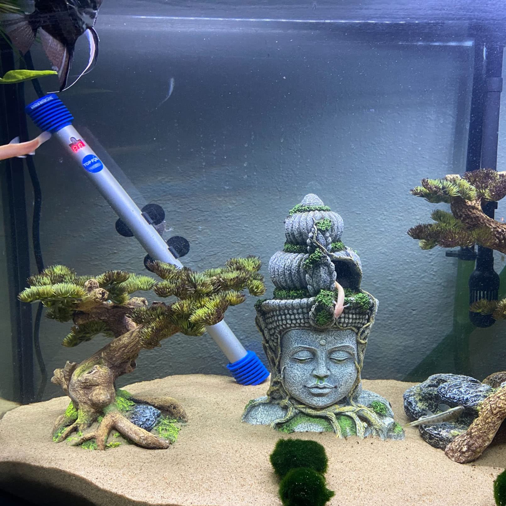 Zen Aquarium Design Ideas