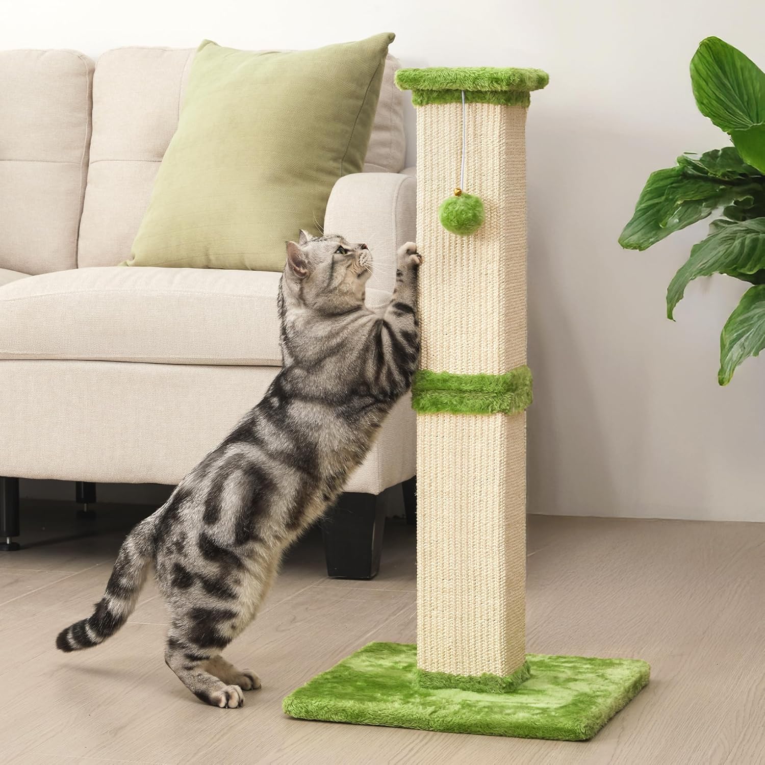 Amazon.com : Keygarzone Indoor Cat Scratching Post: 32 in Tall Cat ...
