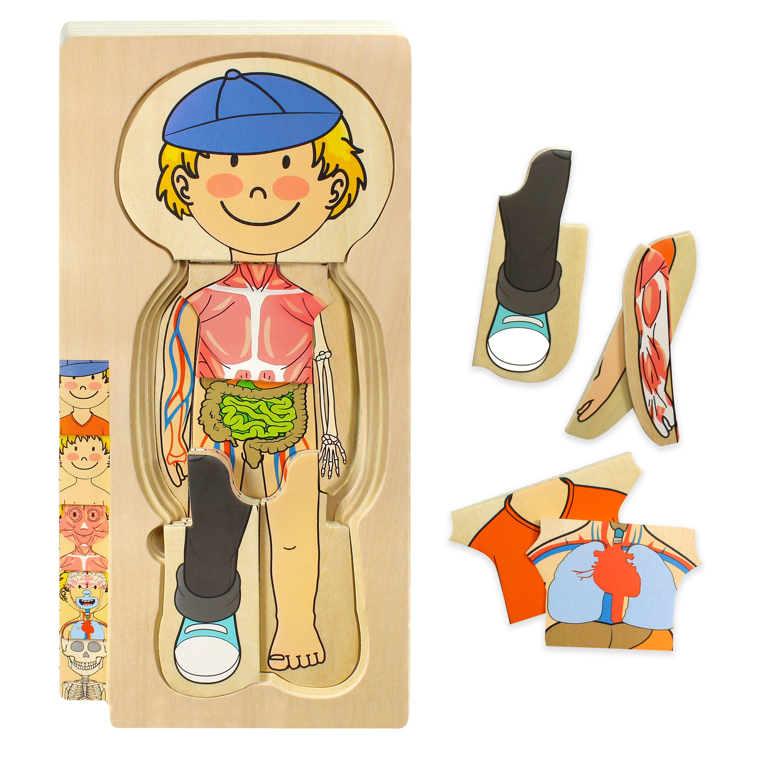 Buy Kidzlane Wooden Human Body Puzzle For Kids And Toddlers 29 Piece 