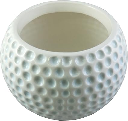 Amazon.com: Accents & Occasions Ceramic Golf Ball Planter or Flower ...