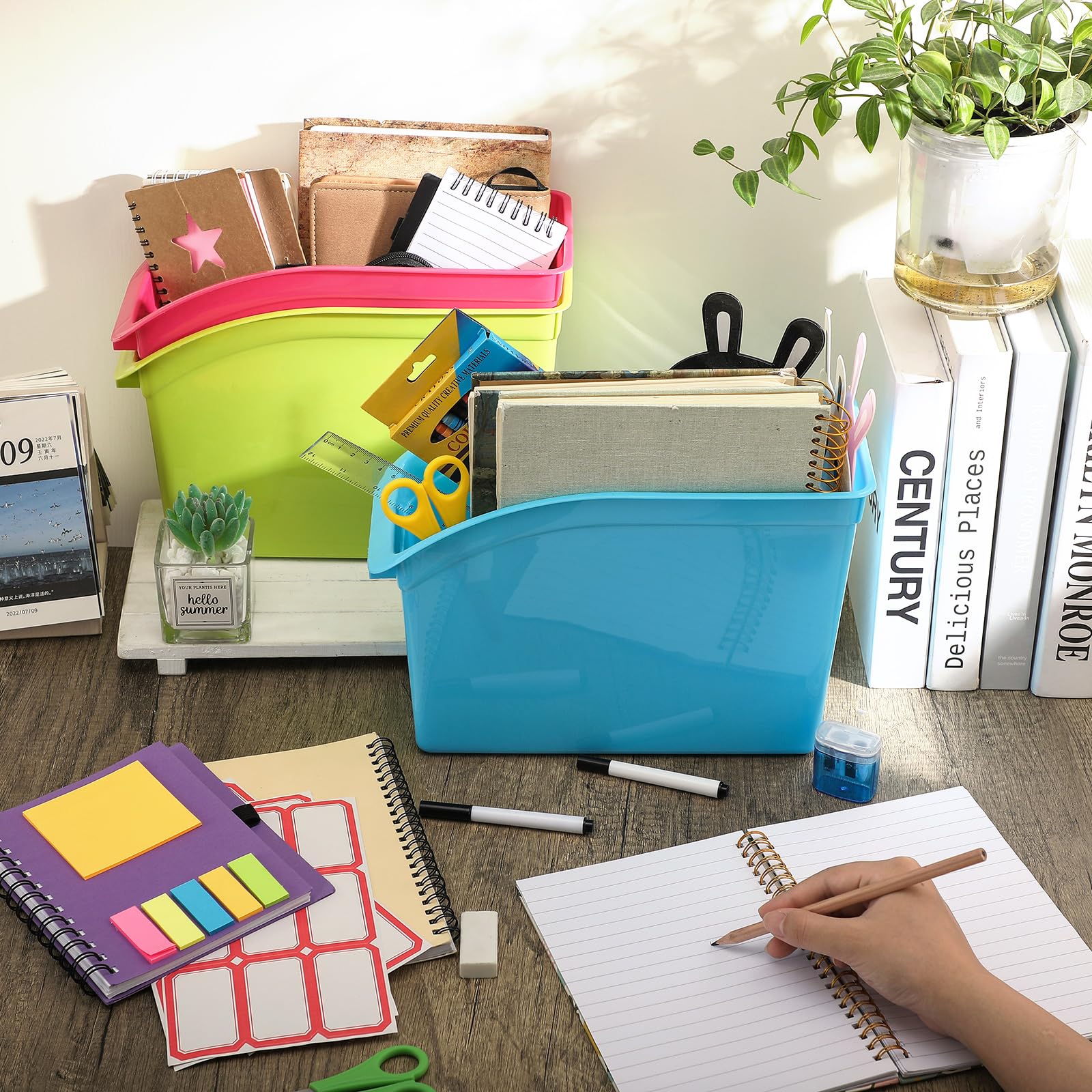 Snapklik.com : Roshtia 12 Pack Book Bin For Classroom Multicolor ...