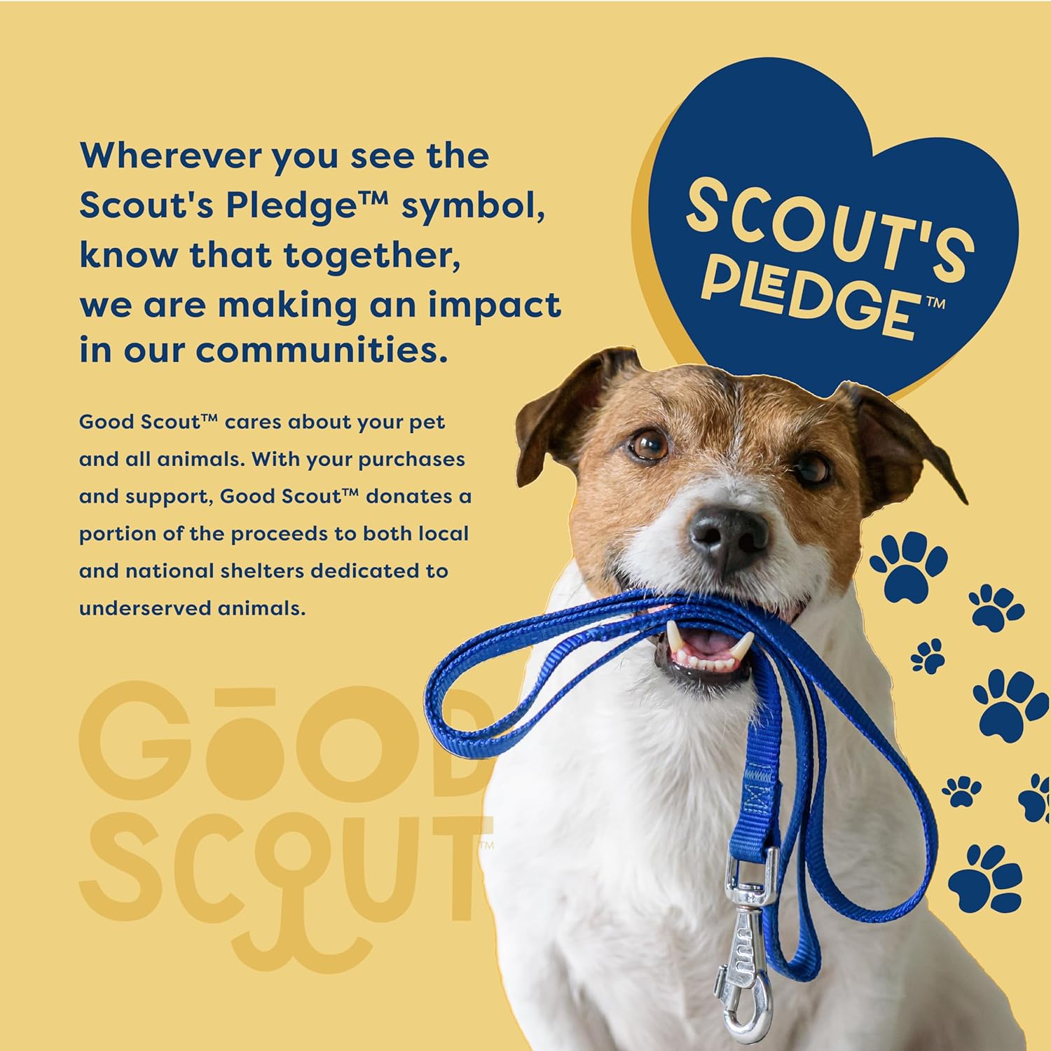 Good Scout Collar de perro resistente para cachorros y perros adultos ...