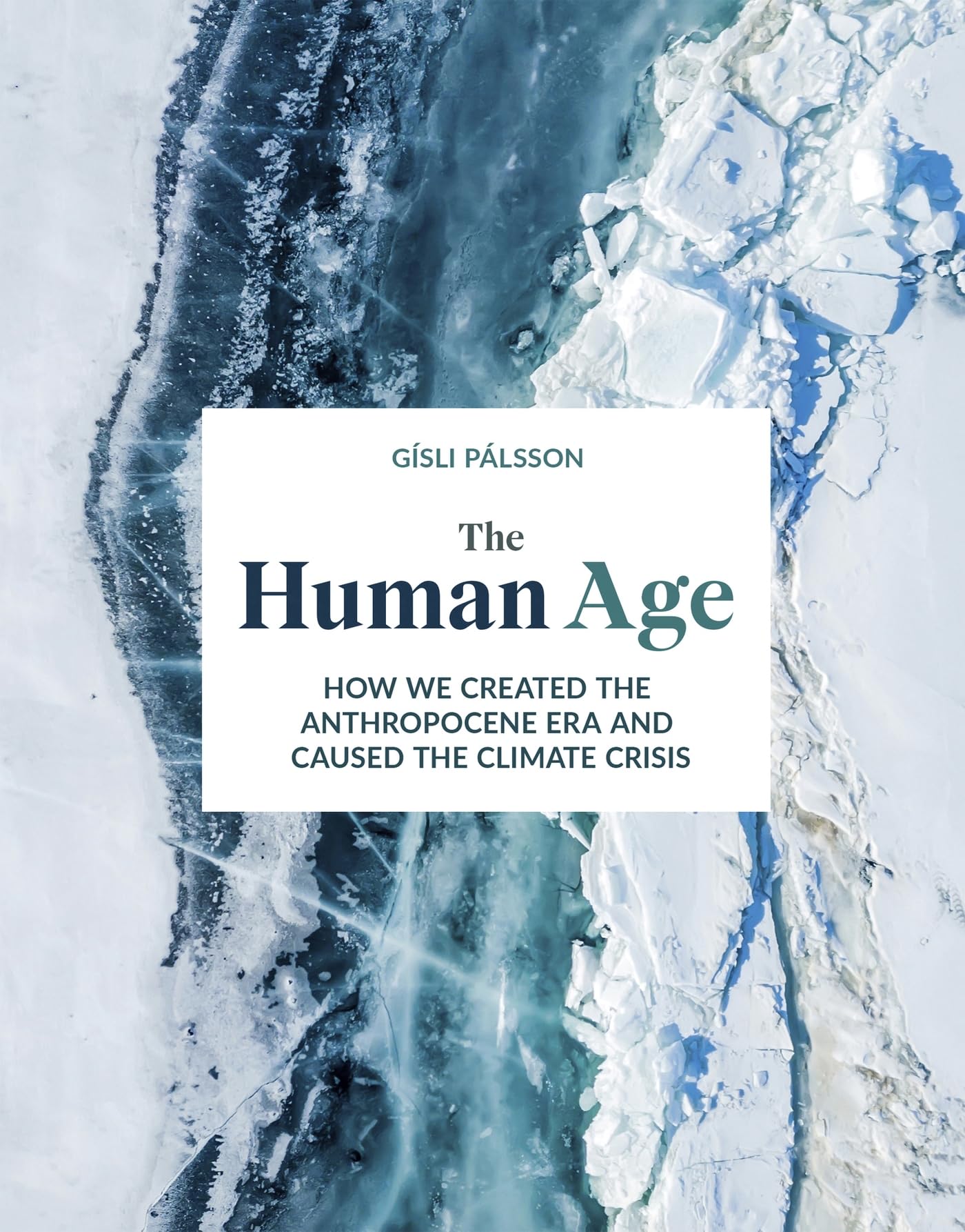 The Human Age: How We Caused the Climate Crisis: Palsson, Gísli ...