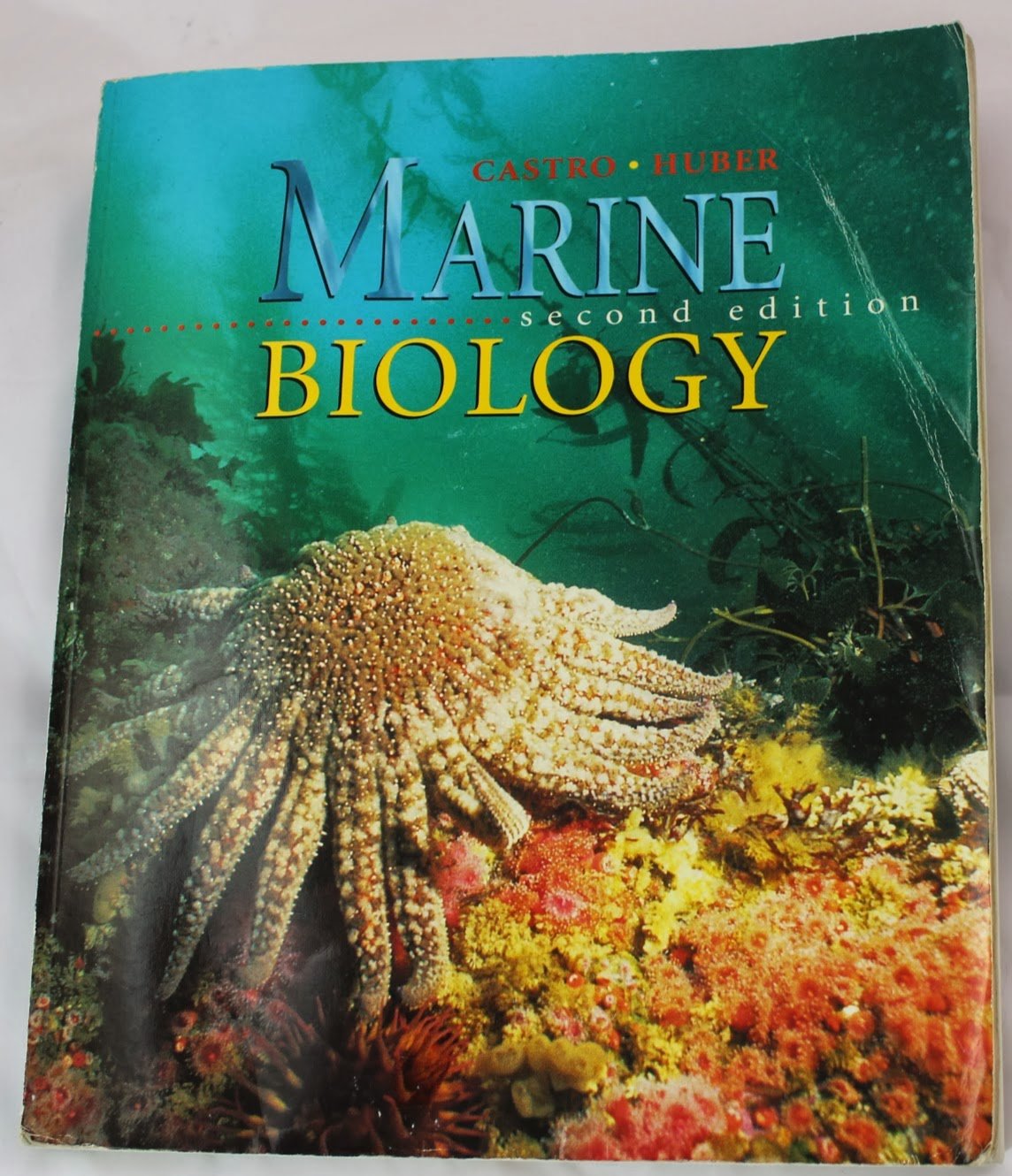 Marine Biology: Castro, Peter, Huber, Michael E.: 9780697243607: Amazon ...