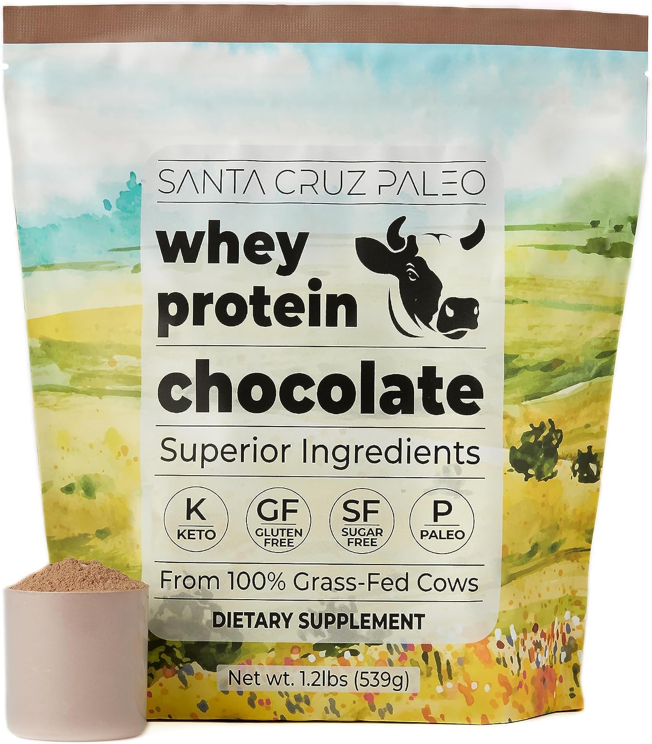 Amazon.com: Santa Cruz Paleo Whey Protein Powder, Chocolate, 20g Grass ...