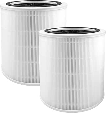 Amazon.com: Core 400S HEPA Air Purifier Filter Replacement, Compatible ...