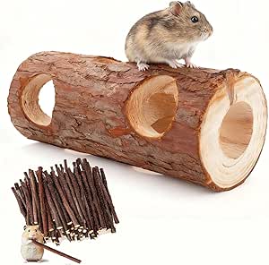 Amazon.com : Natural Wooden Hamster Mouse Tunnel Tube Toy Forest Hollow ...