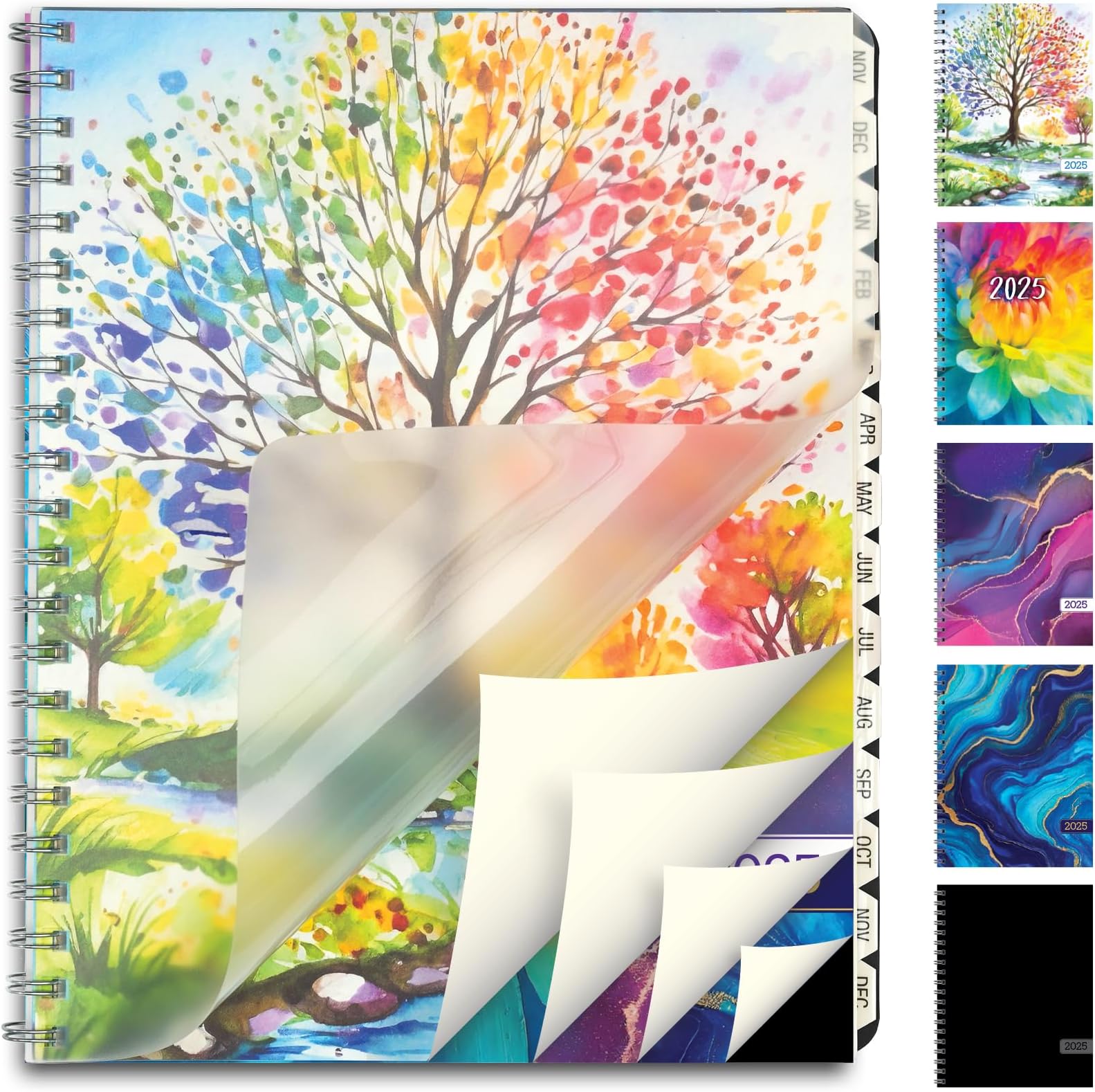 Amazon.com : ESSENTIAL 2025 8.5” x 11” Planner, 14-Month (November 2024 ...