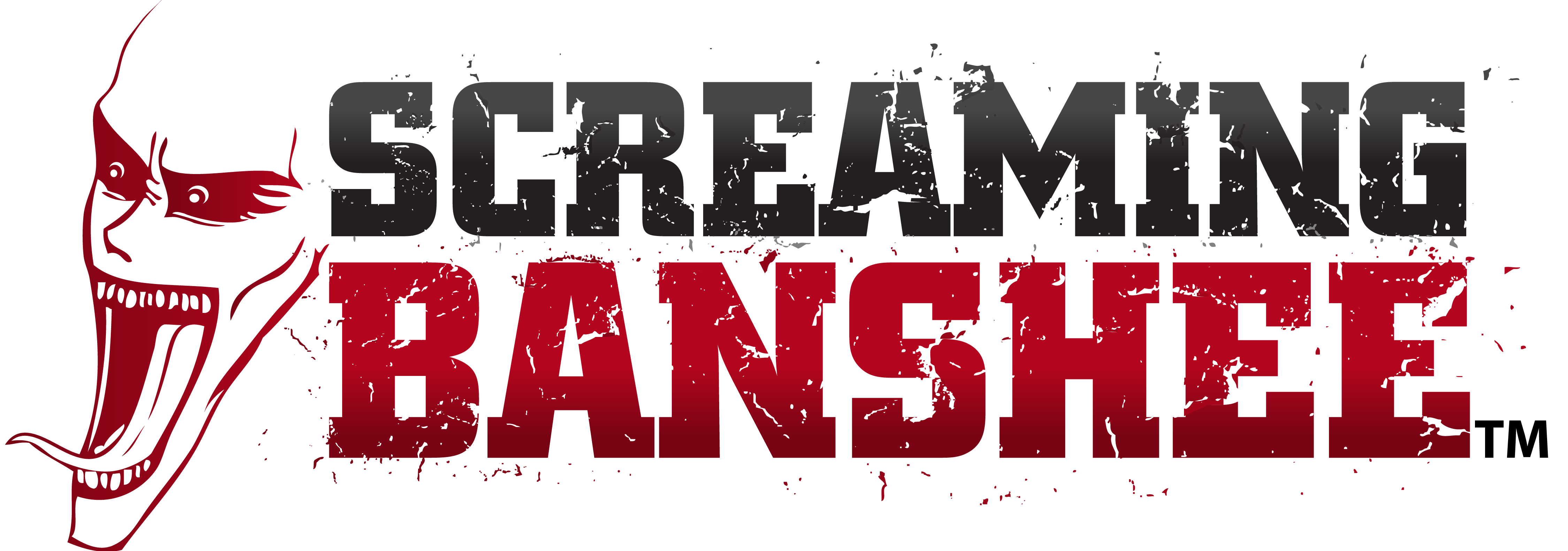 Watch The Mini Banshee Horn Loud Plug and Play Install on Amazon Live