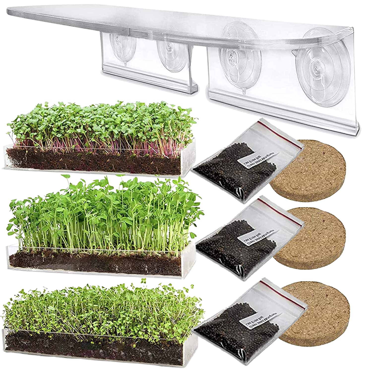Microgreens Growing Kit Organic Pea Shoot 3 Pack Refill Pre ...