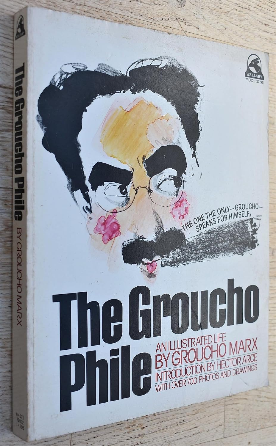 The Groucho Phile: An illustrated life by Groucho Marx: MARX, Groucho ...