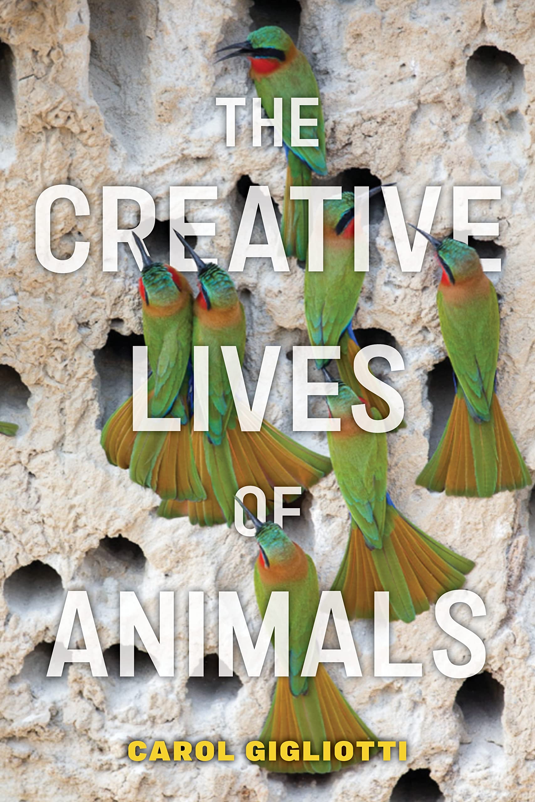 The Creative Lives of Animals (Animals in Context): Gigliotti, Carol ...