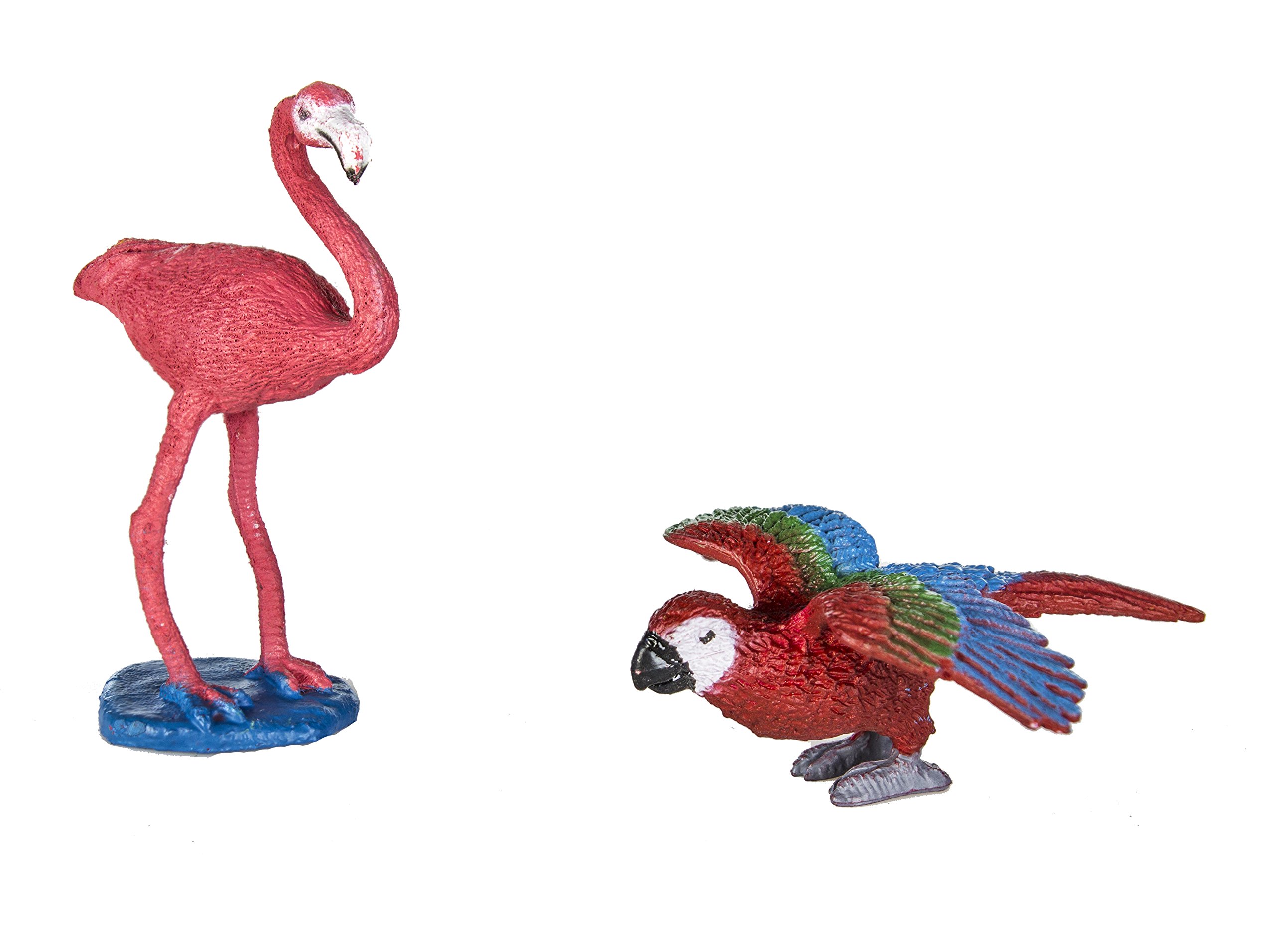 Safari Ltd Exotic Birds TOOB - 11 Different Hand Paint...B000GZED7K ...